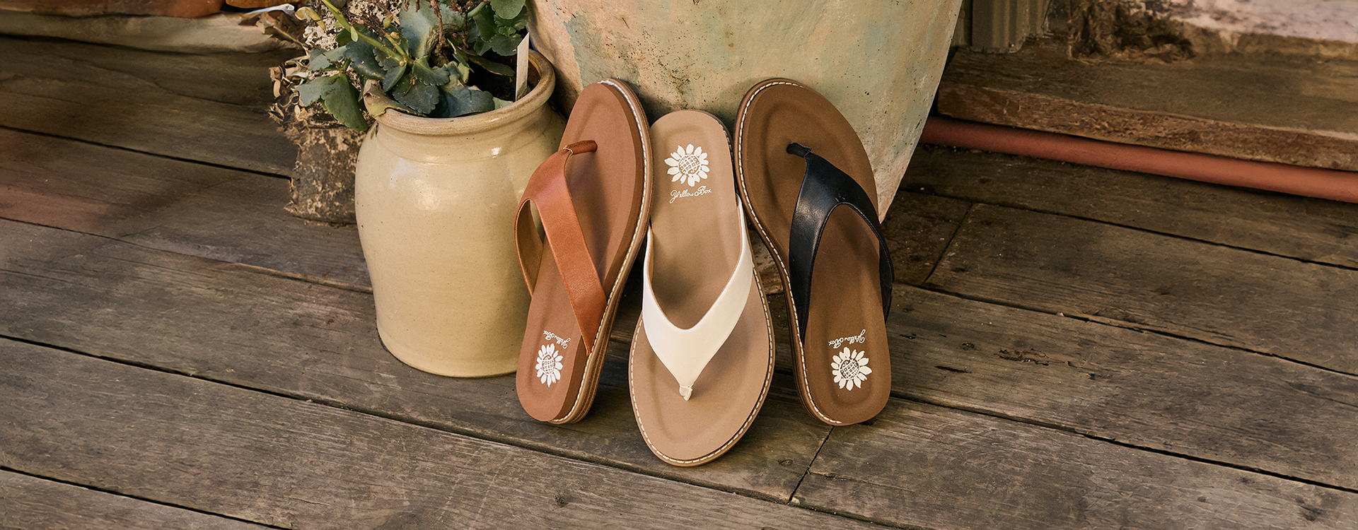 Women's Fashion Sandals | Yellow Box Official Site – YELLOW BOX FOOTWEAR