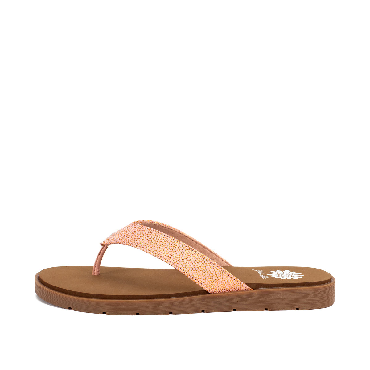 Fanzie Flip Flop Sandal | Yellow Box Official Site – Yellow Box Footwear