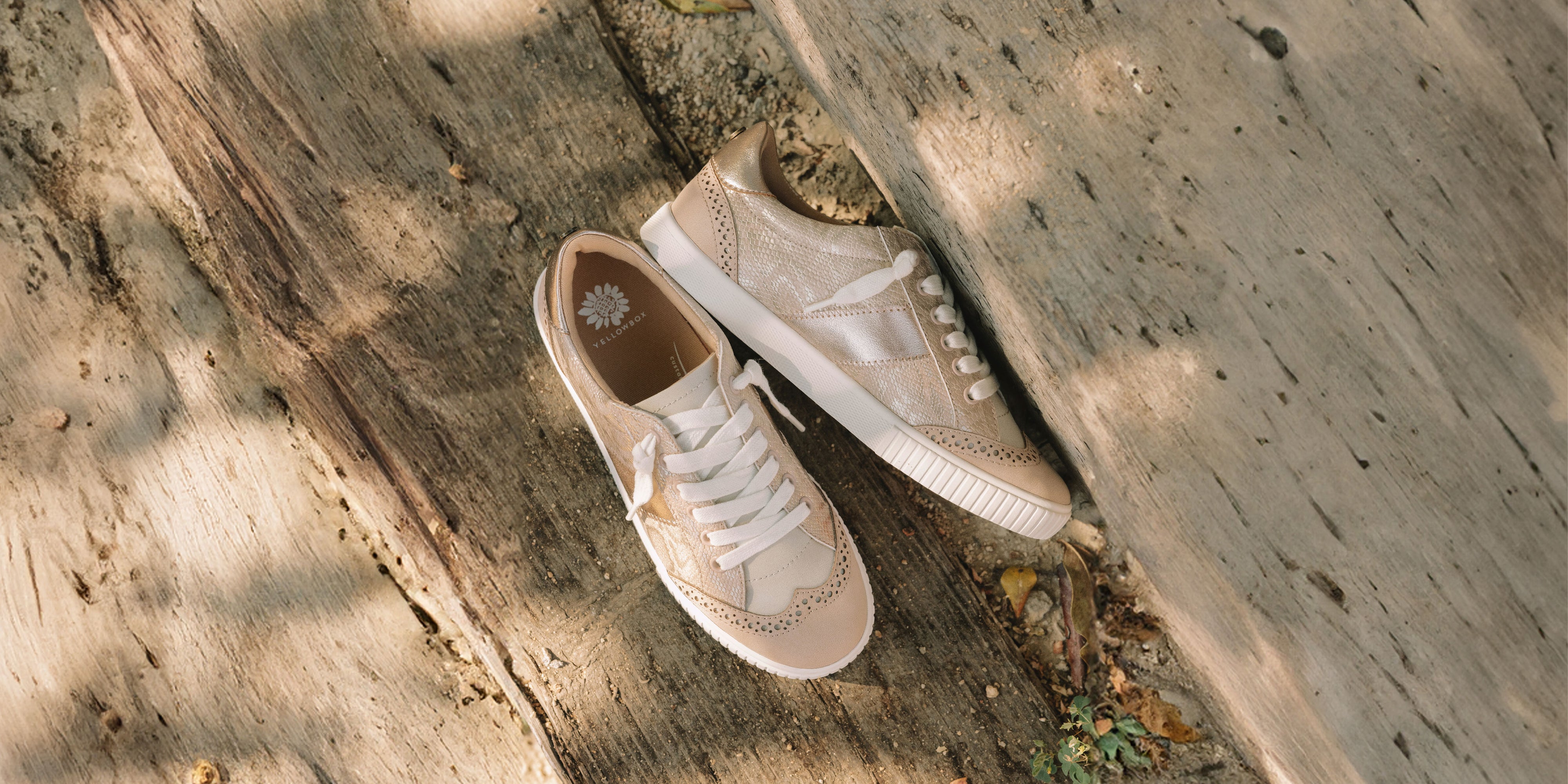 Yellow Box Footwear | Shop Stylishly Comfortable Women's Shoes