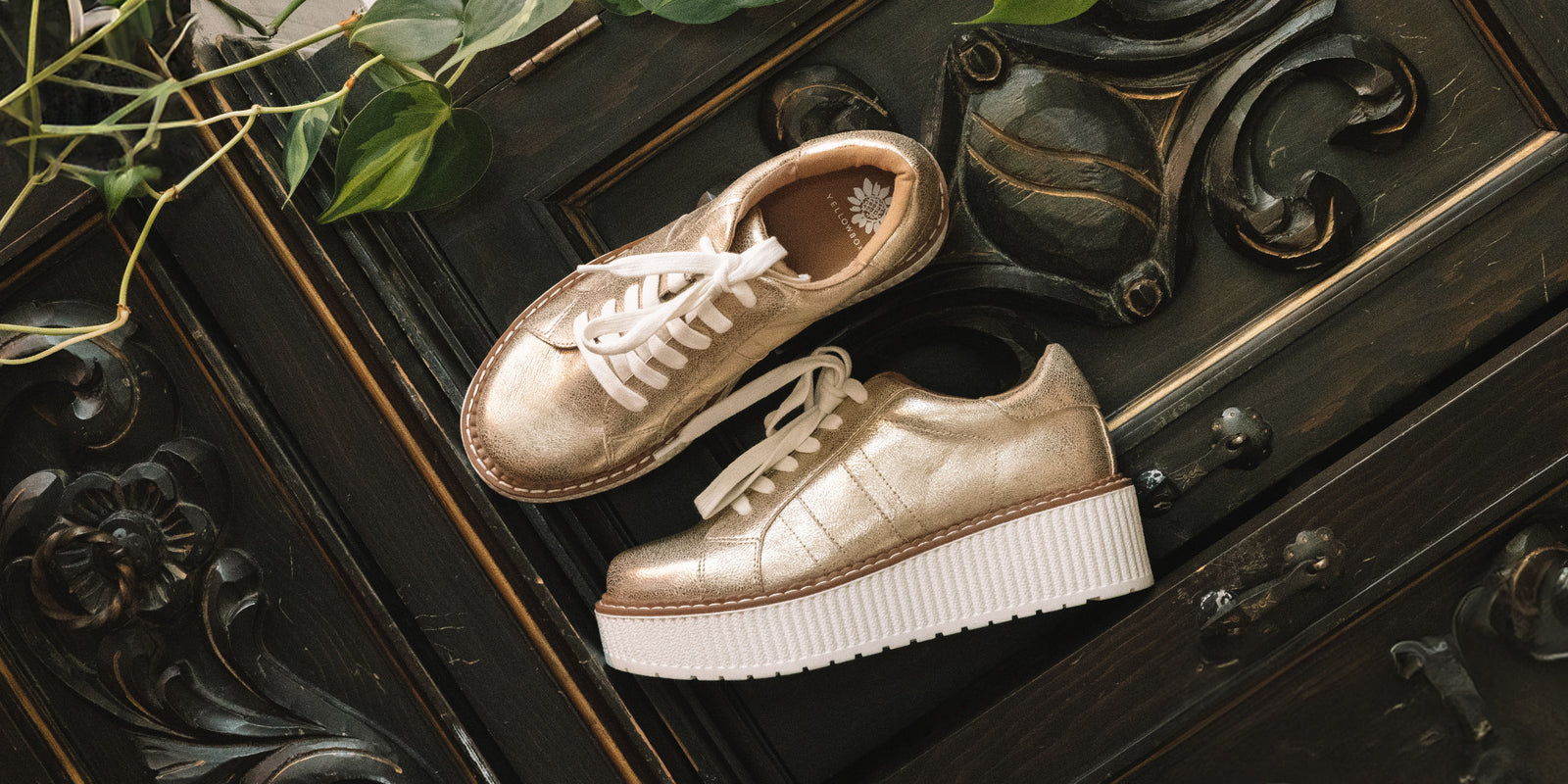 Yellow Box Footwear | Shop Stylishly Comfortable Women's Shoes